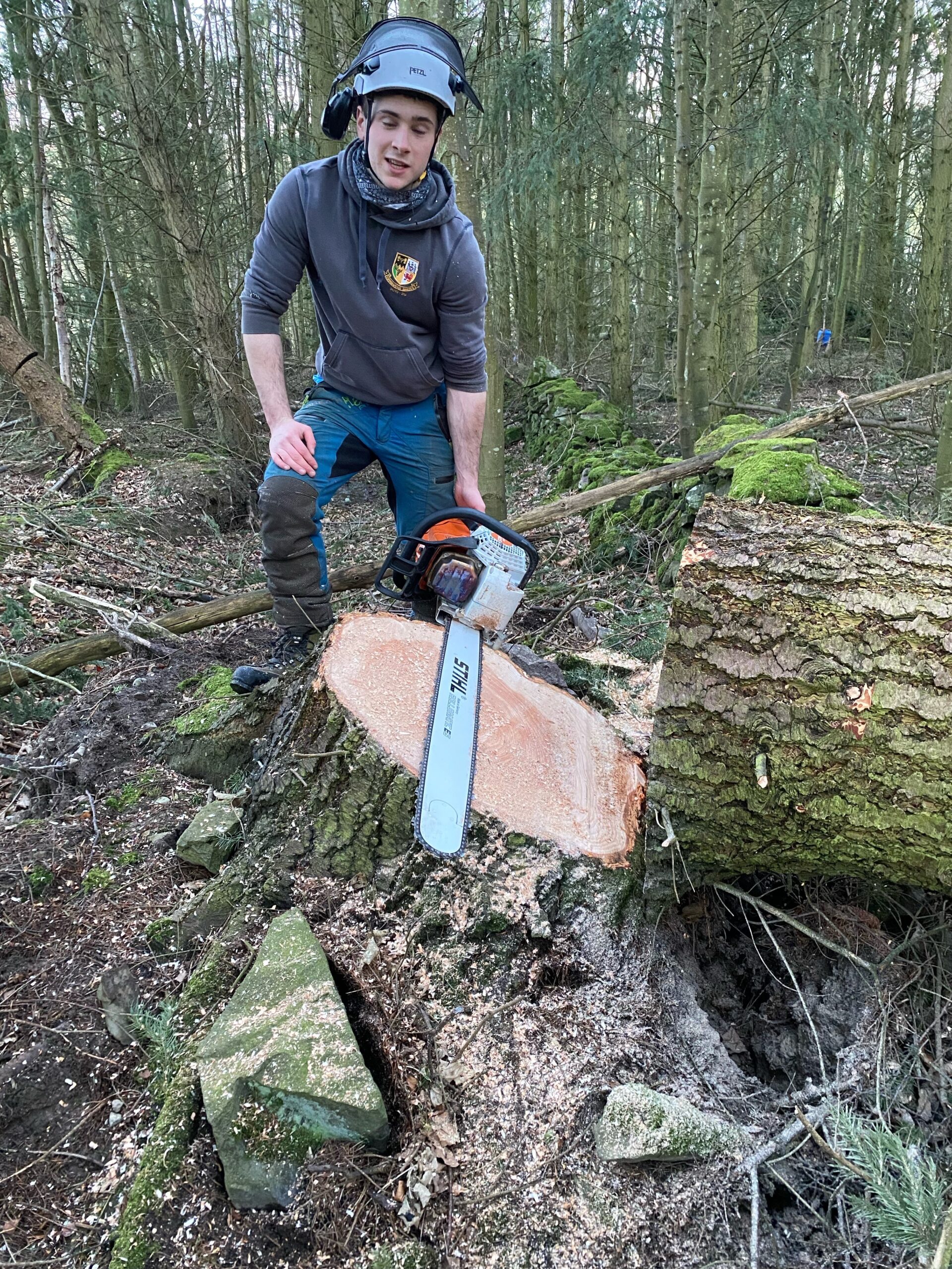 Our Team | Forest Direct Ltd. | Scotland Forestry Consultants